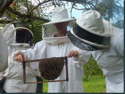 From The Heart Of Uganda: Wild African Bees - Beekeeping Workshop